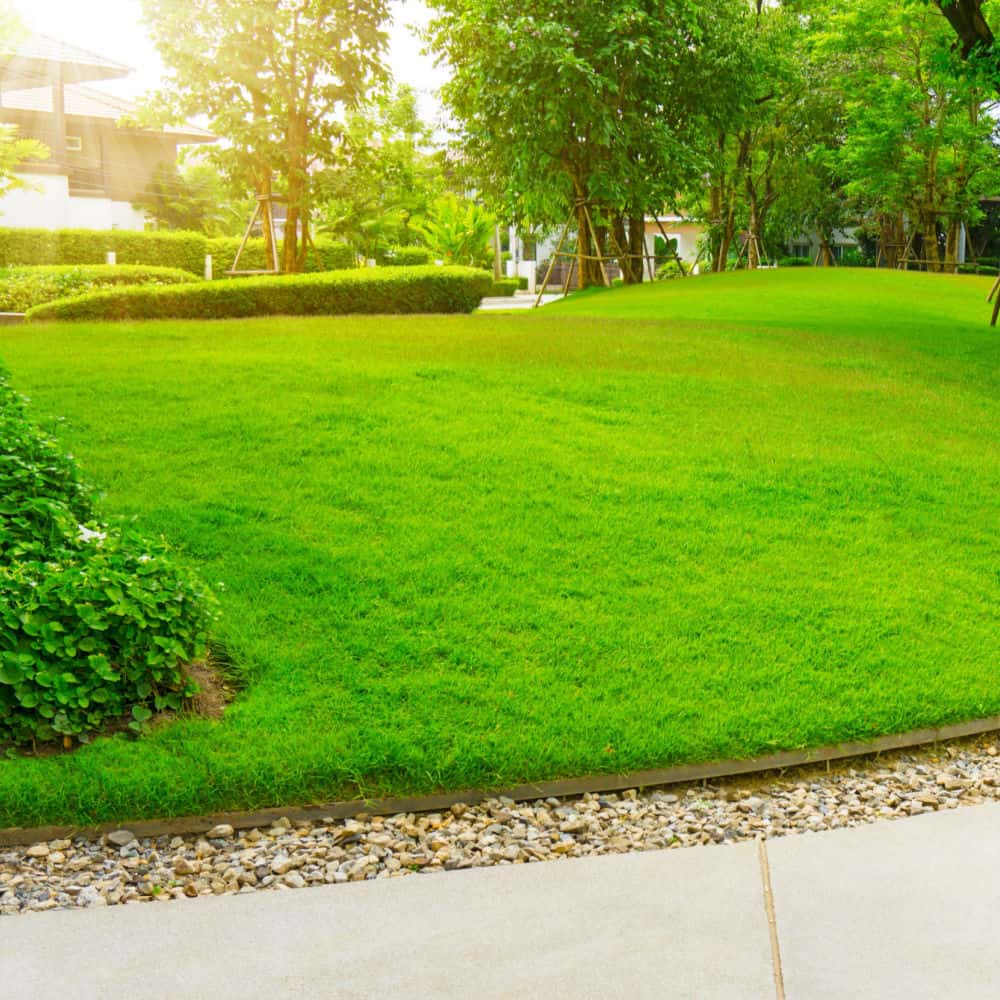 Landscaping Services | FNJ Landscaping